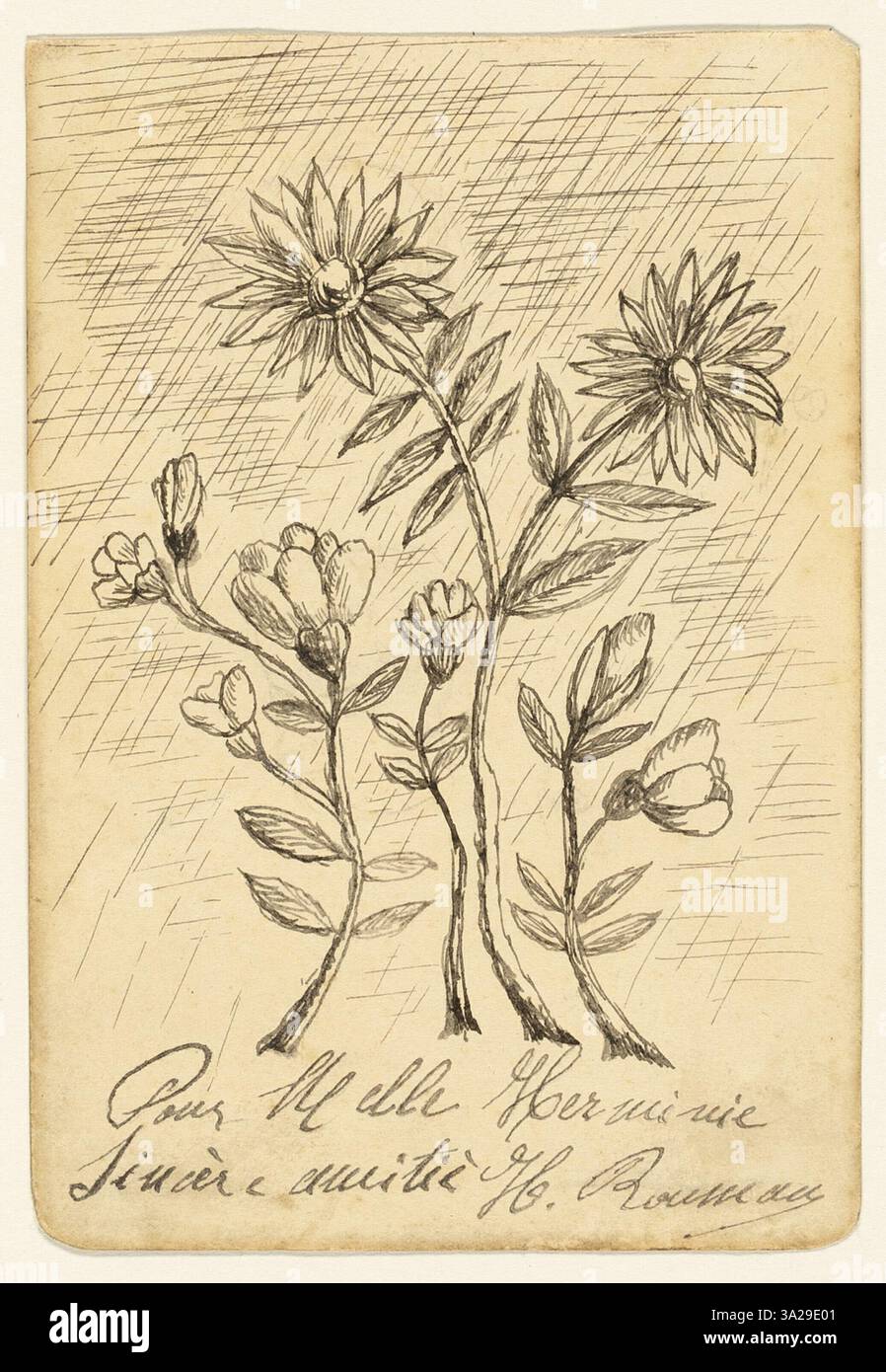 Henri Rousseau's 'Oak Branch' (early 20th century) captures a simple ...