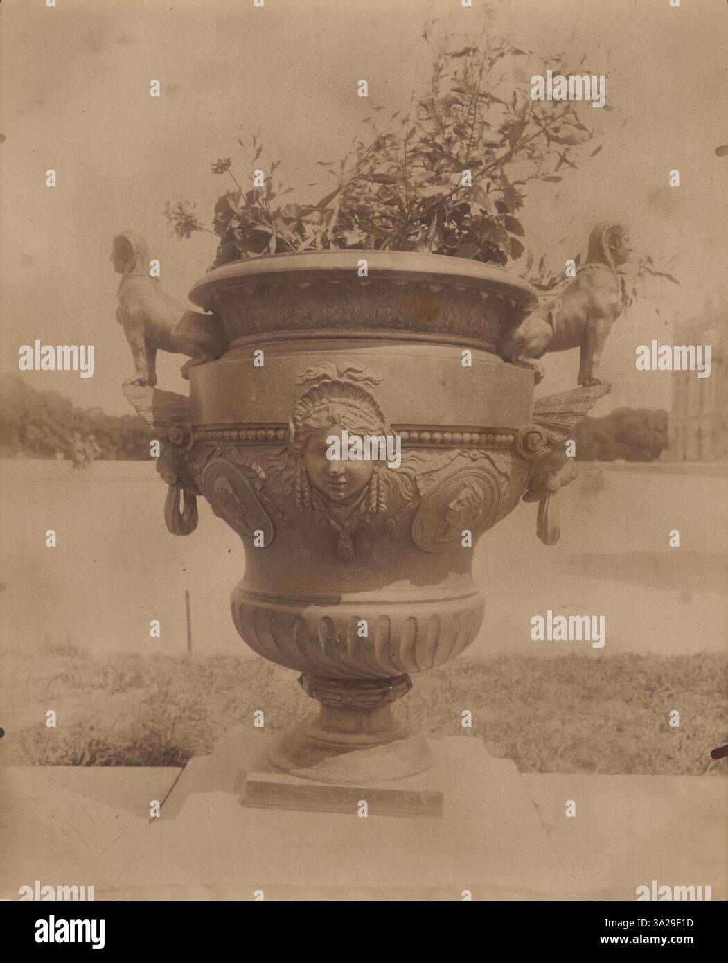 An untitled photograph capturing the grandeur of the Versailles Gardens ...