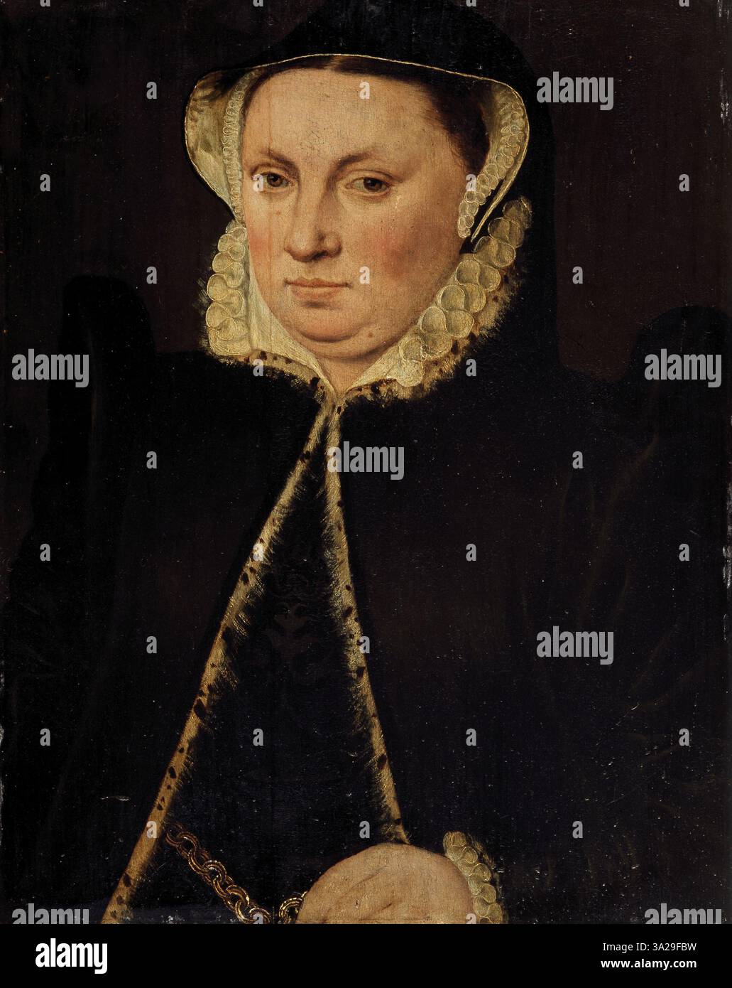 This portrait from the mid-16th century shows a woman in formal attire ...