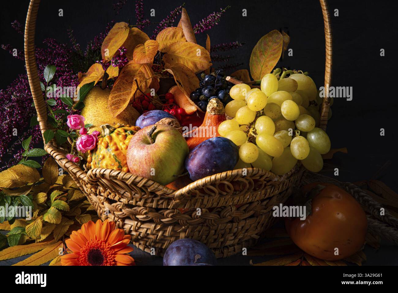 Autumn cornucopia in a round basket Stock Photo - Alamy