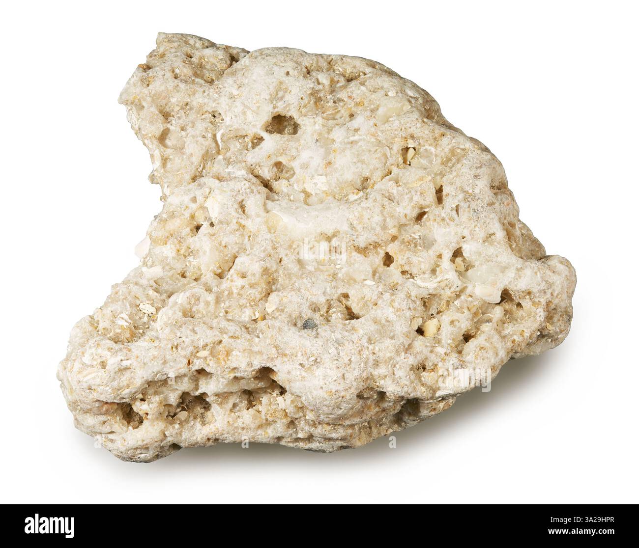 Coquina (Sedimentary rock), Florida Stock Photo - Alamy