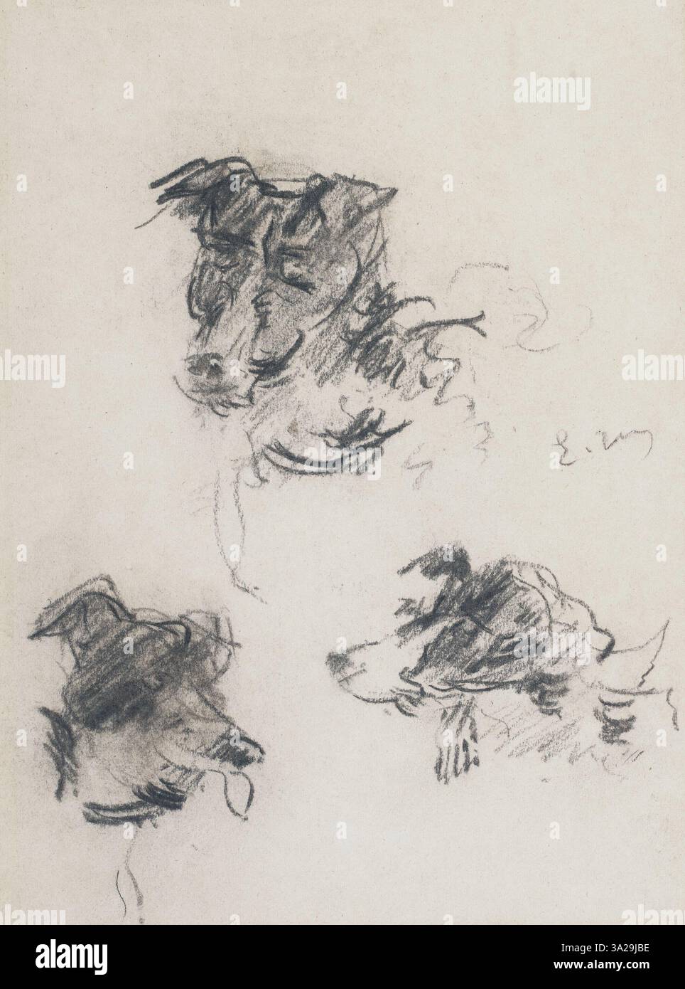 'Têtes de chiens' is a study of dog heads, showcasing Manet's attention ...