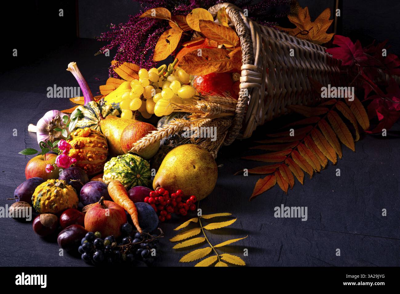 The beautiful and autumnal cornucopia Stock Photo - Alamy
