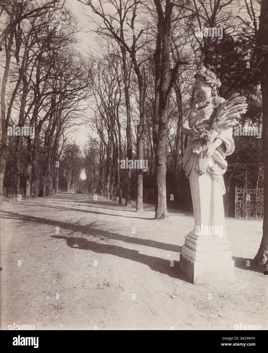 This photograph captures the grand expanse of the gardens at Versailles ...