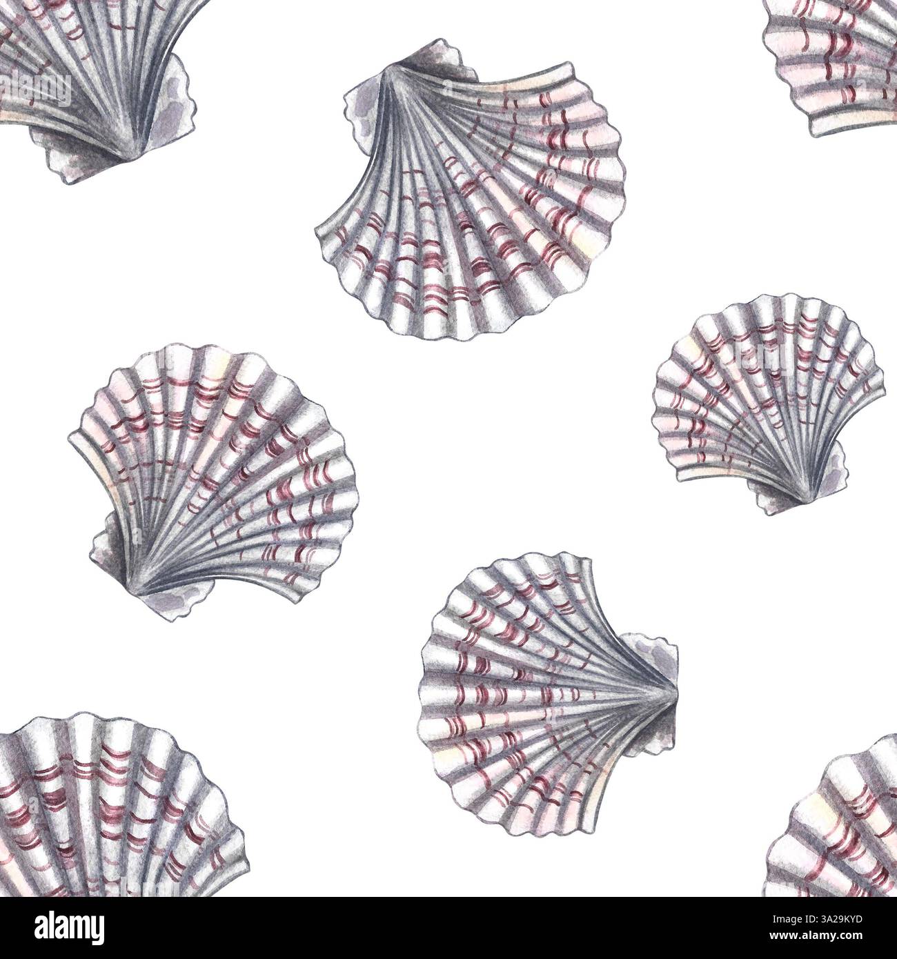 Seamless scallop pattern. A hand-drawn watercolor illustration. Color ...
