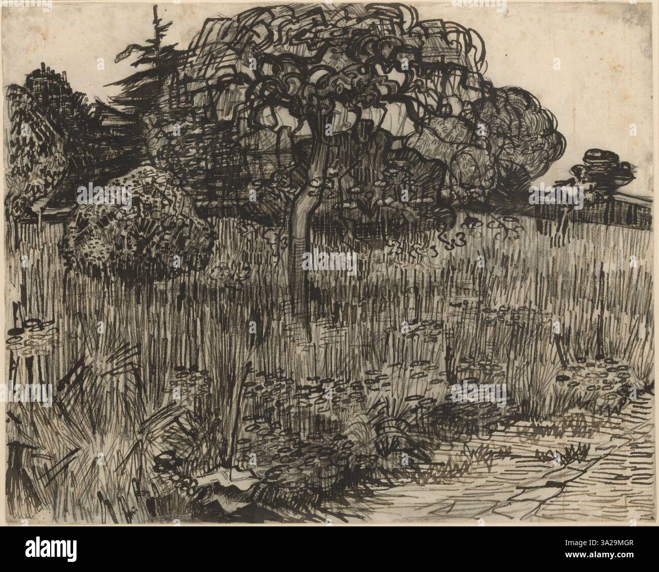 This drawing by Van Gogh depicts a weeping tree in The Park at Arles ...