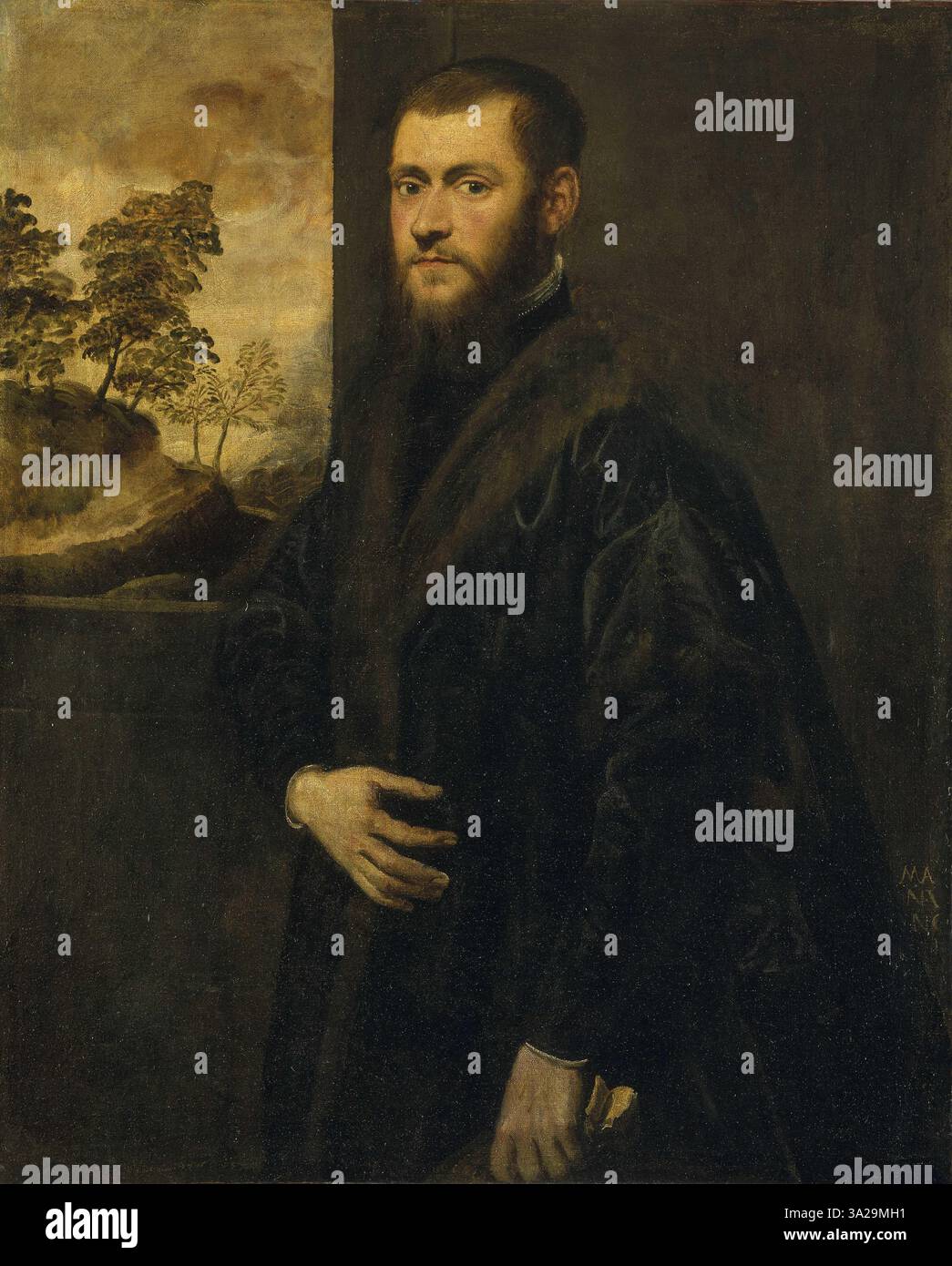 This portrait by Jacopo Tintoretto captures a young gentleman with ...