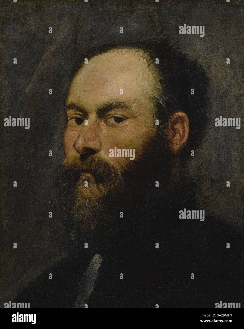 Tintoretto’s portrait of a man emphasizes the subject’s detailed facial ...