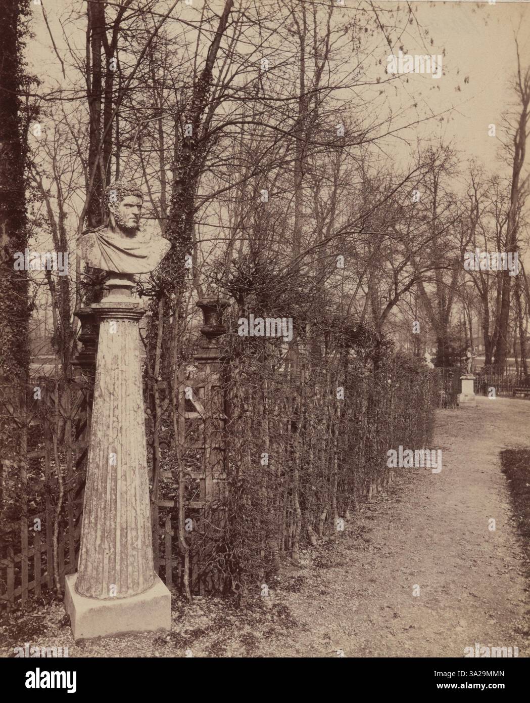 This photograph captures the peaceful atmosphere of the Grove of the ...