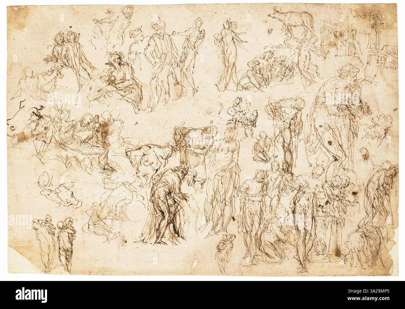 Italian studies Cut Out Stock Images & Pictures - Alamy