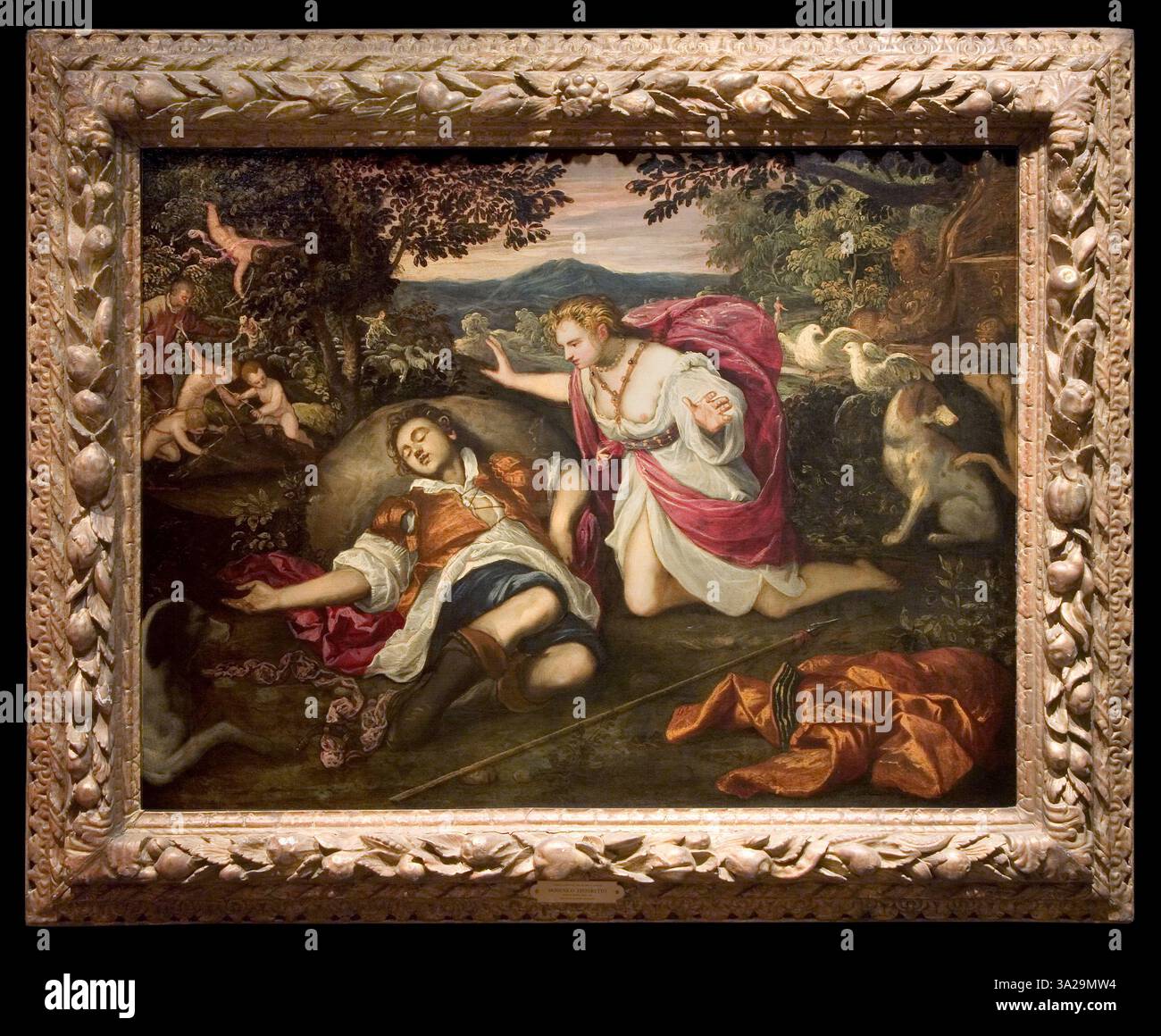 In this painting, Venus mourns the death of her lover, Adonis, captured ...