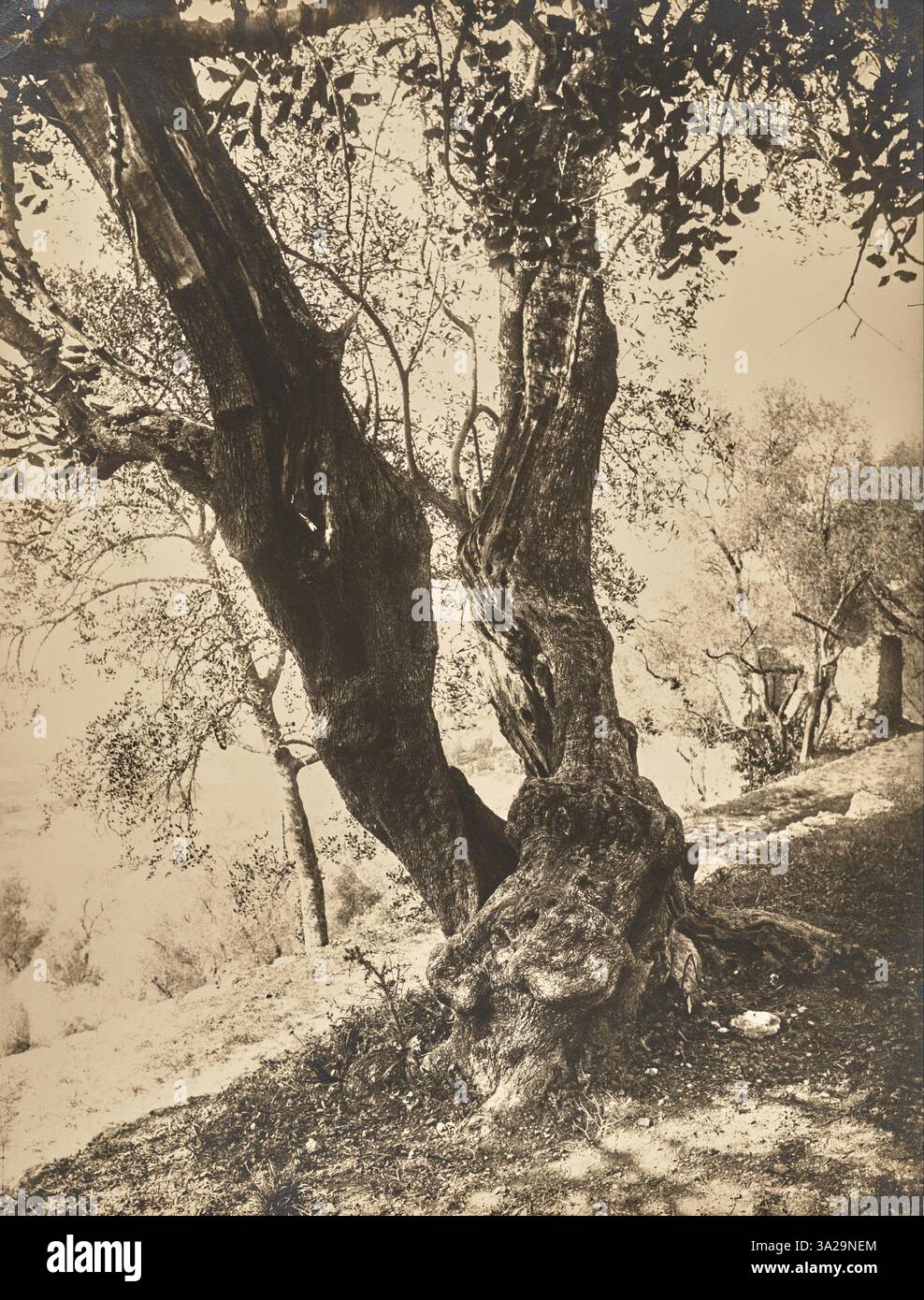 This copy print by Eugène Atget depicts the Porte d'Asnières, a ...