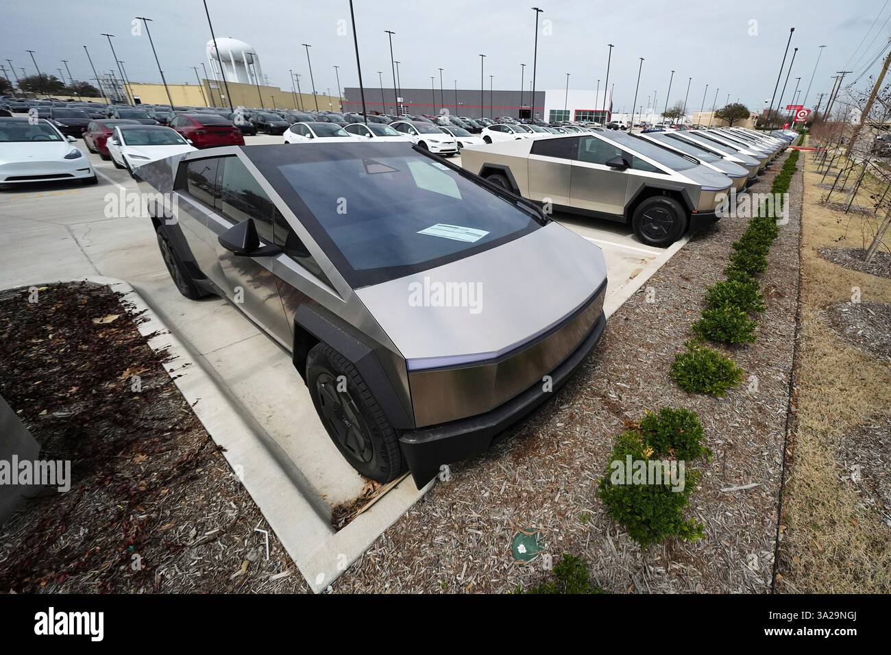 Tesla Cybertrucks are seen parked at a dealership Wednesday, March 12 ...
