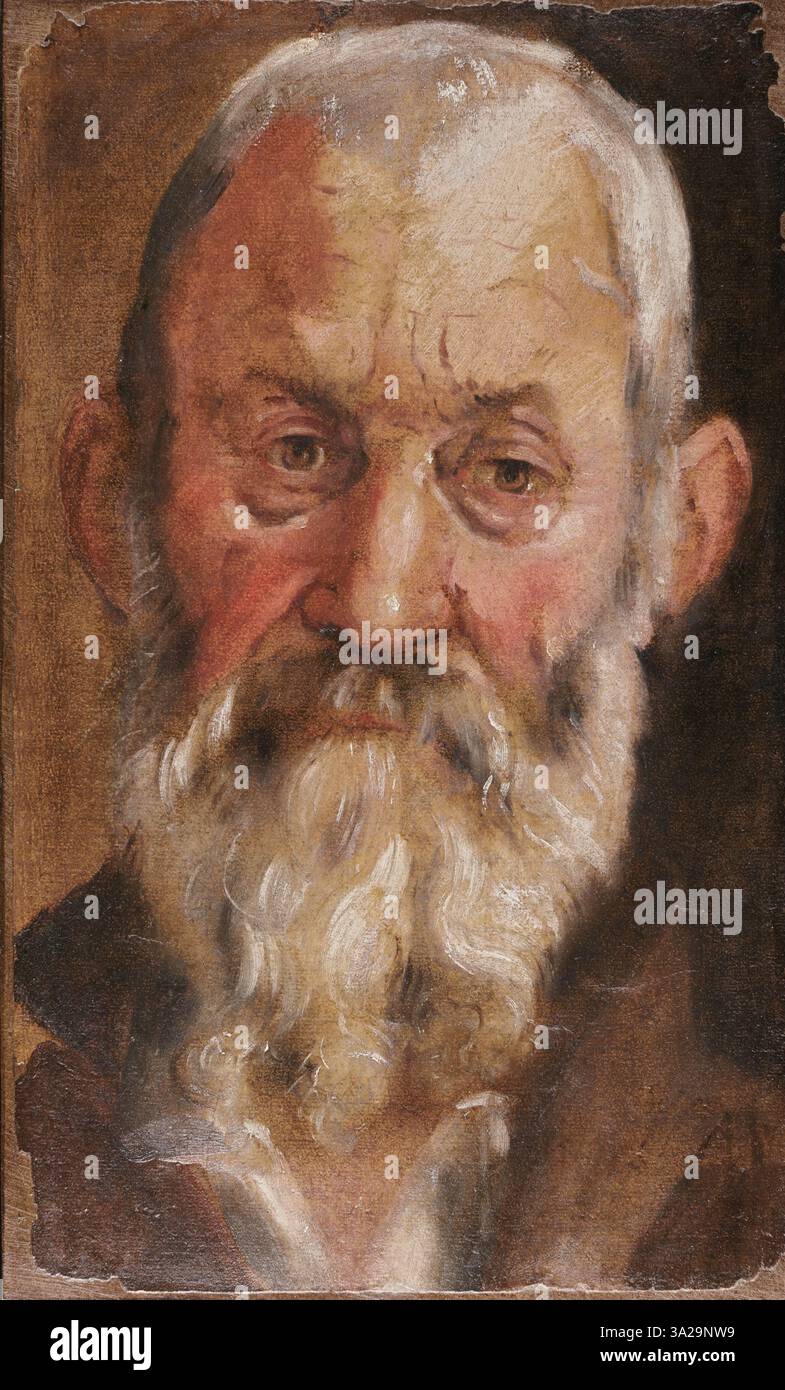 This portrait by Annibale Carracci shows a bearded man, his serious ...