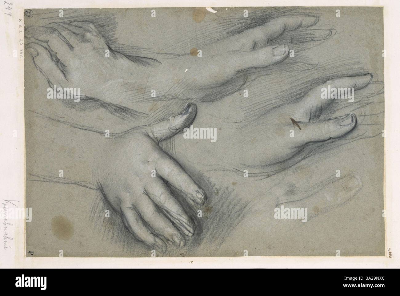 This study by Barocci examines the hands of a woman at the left side of ...