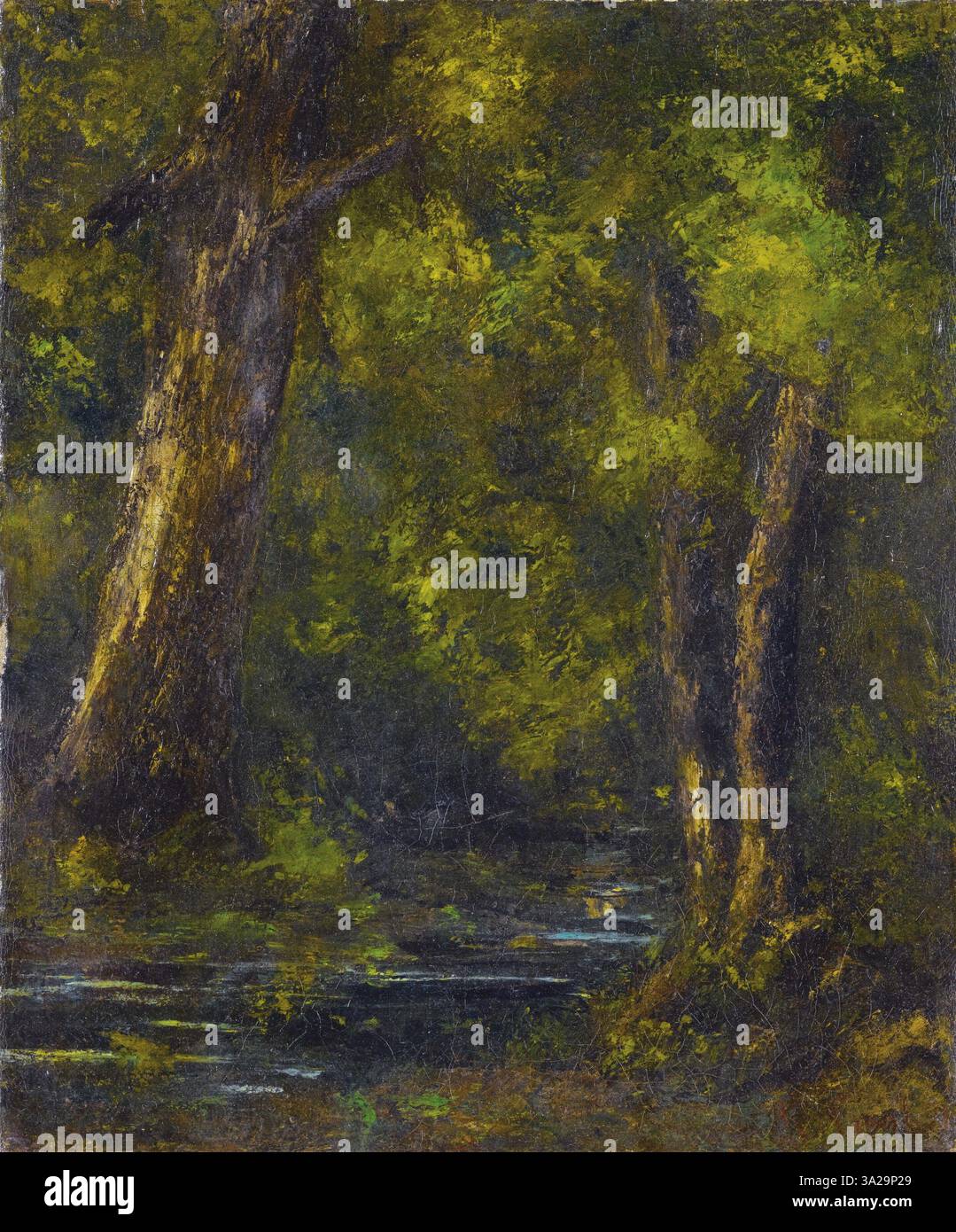 'Rivière dans un sous-bois' (River in a Forest) by Gustave Courbet ...