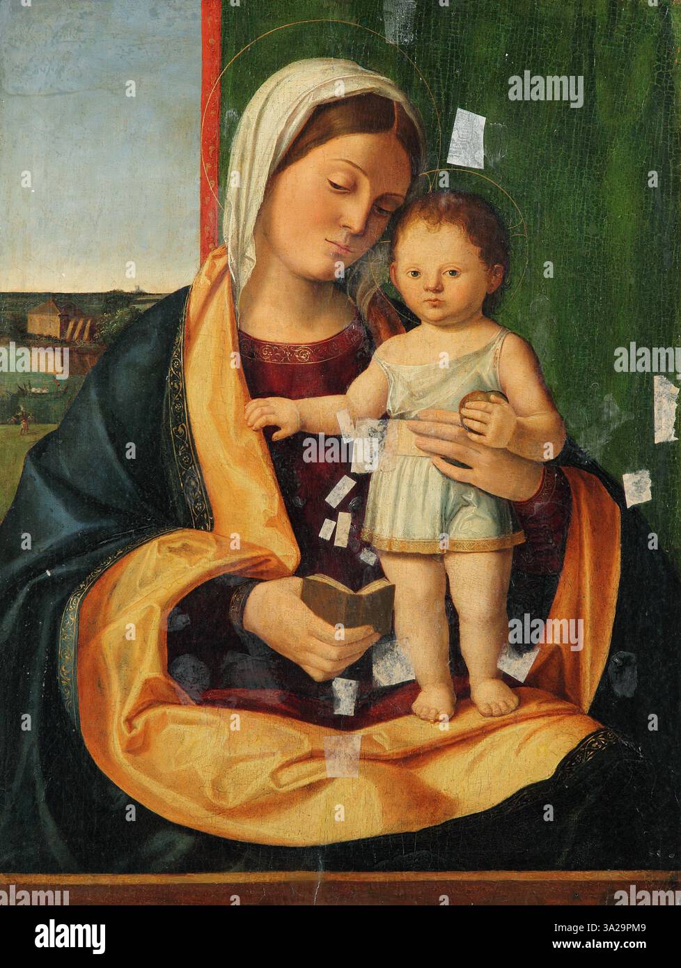 This artwork by Giovanni Bellini depicts the Virgin Mary with the ...