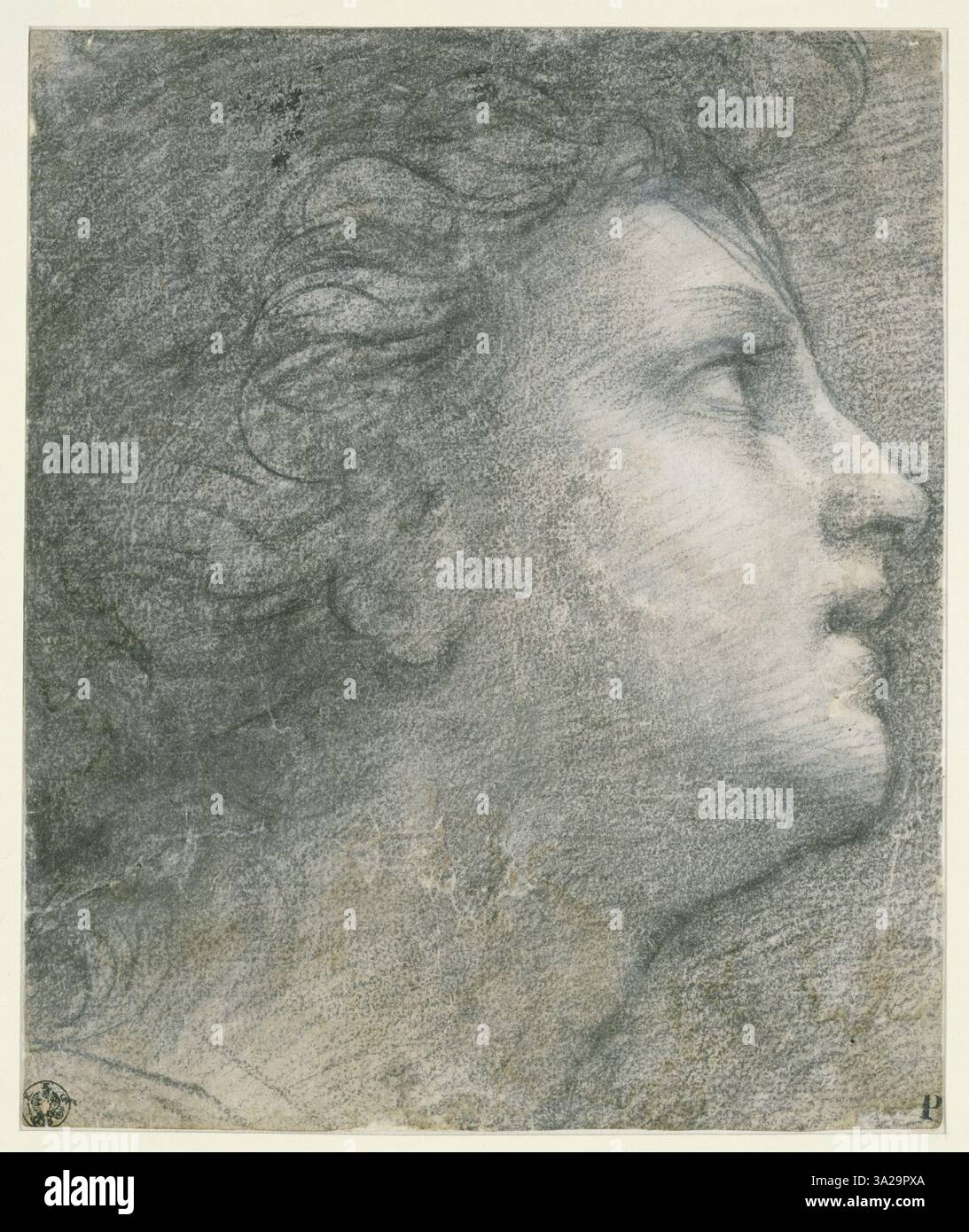 This profile drawing by Albertinelli shows the head of a young man ...
