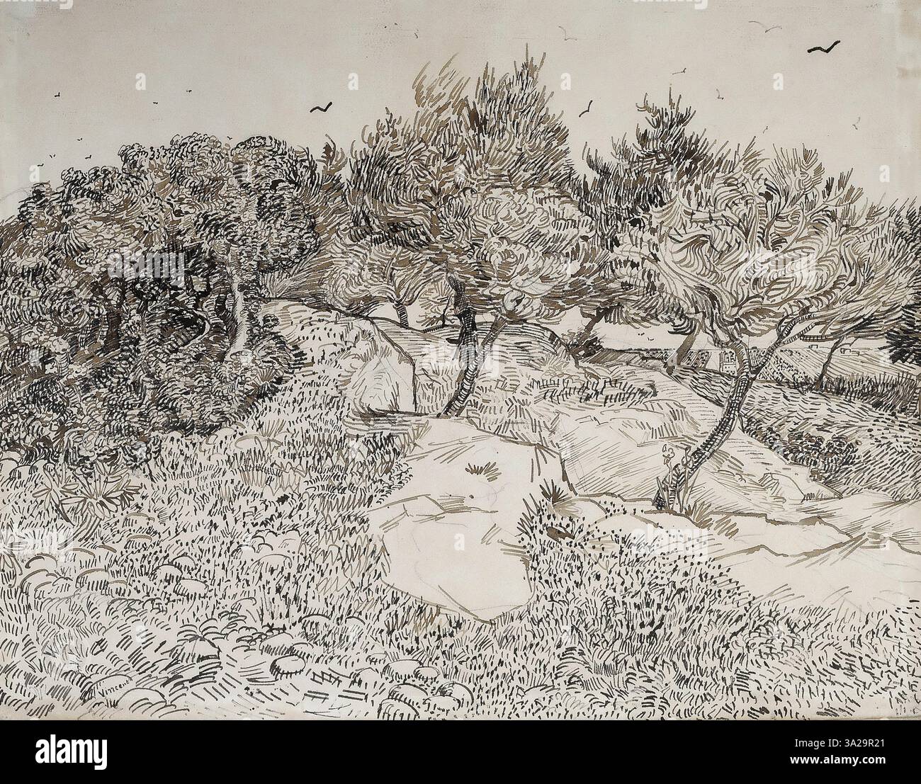 Van Gogh’s 'Olive Trees' features a vibrant display of the twisted ...