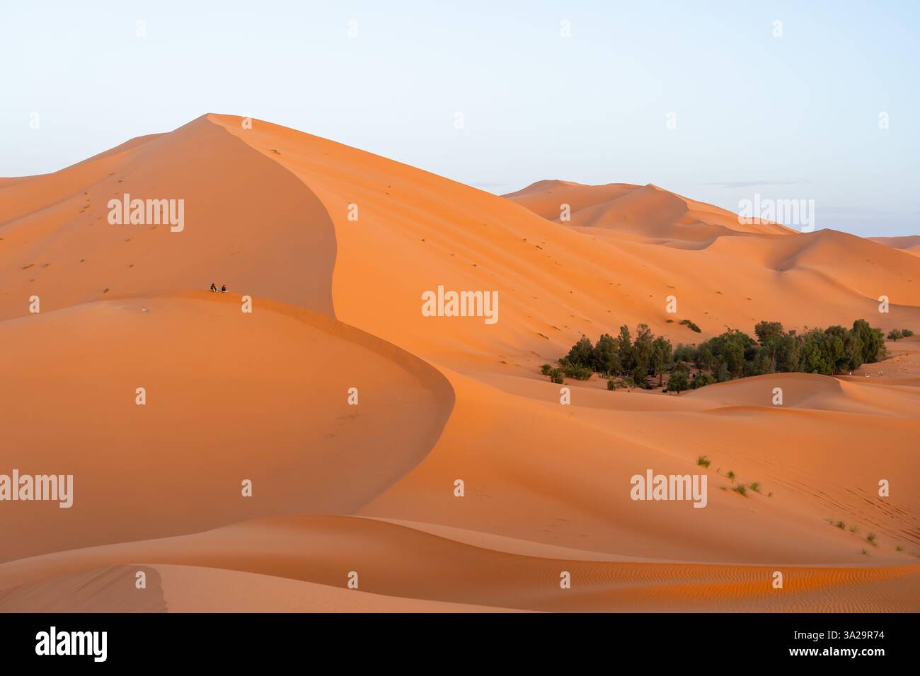 View of Sahara Desert in Morocco, Africa. The Sahara Desert is the ...