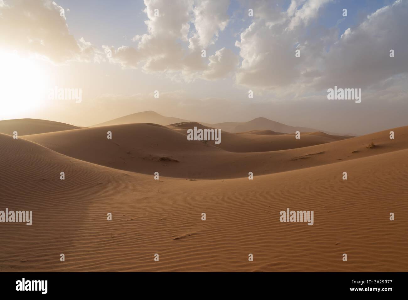 View of Sahara Desert in Morocco, Africa. The Sahara Desert is the ...