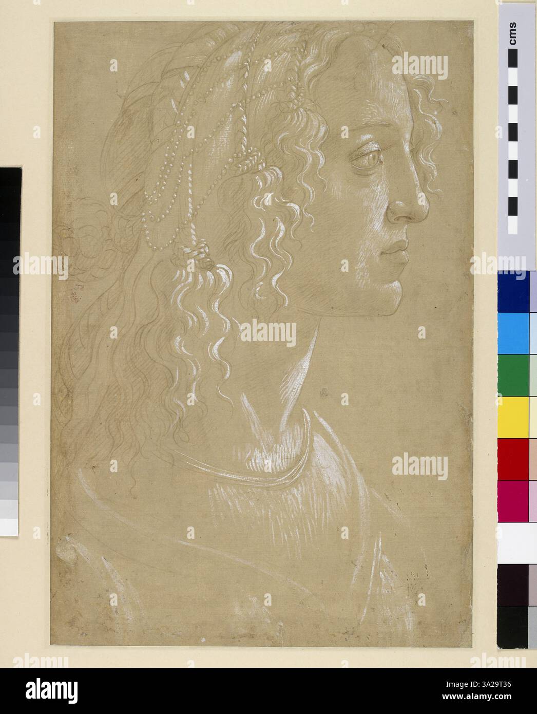 This painting from the studio of Sandro Botticelli depicts Simonetta ...
