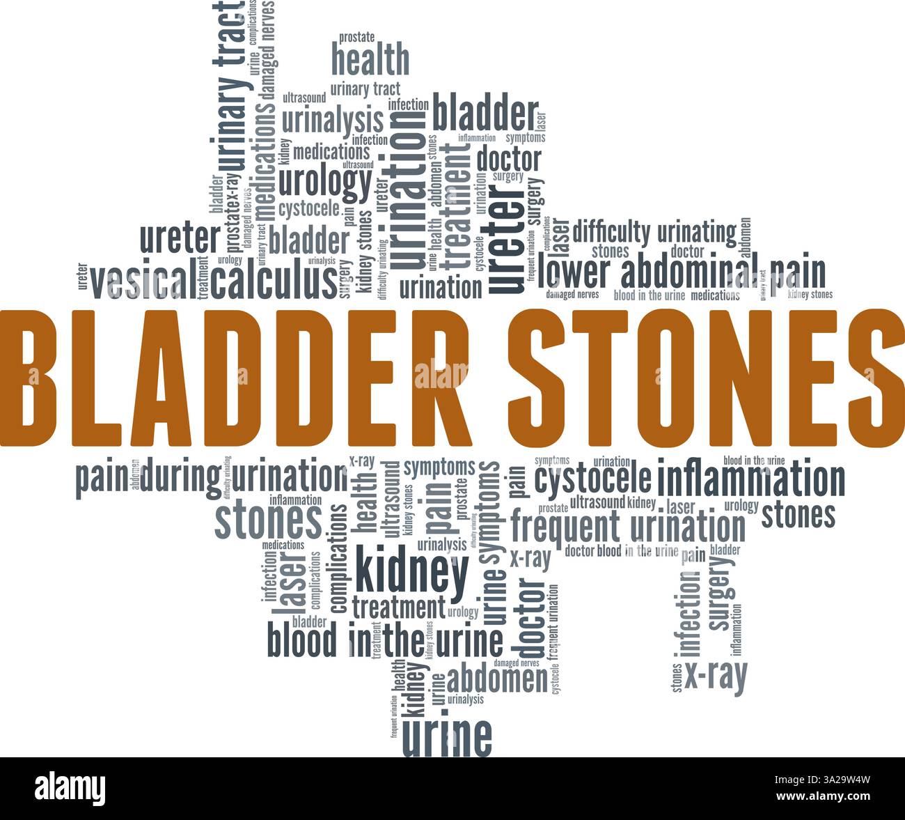 Bladder Stones vector illustration word cloud isolated on a white ...