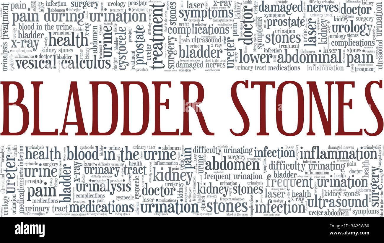 Bladder Stones vector illustration word cloud isolated on a white ...
