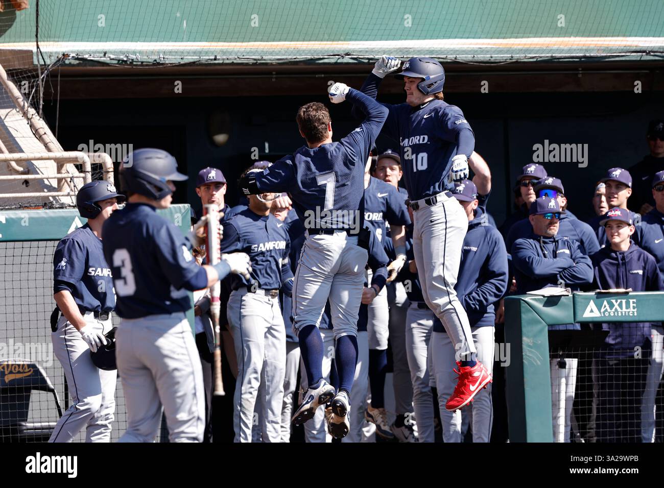 Samford Bulldogs second baseman Jeffrey Ince (7) celebrates with left ...