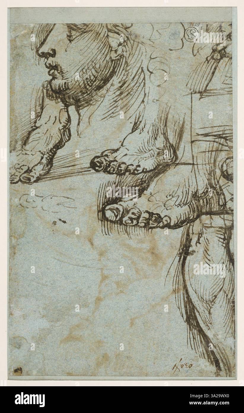 This study by Titian showcases a profile of a head, three feet, and a ...