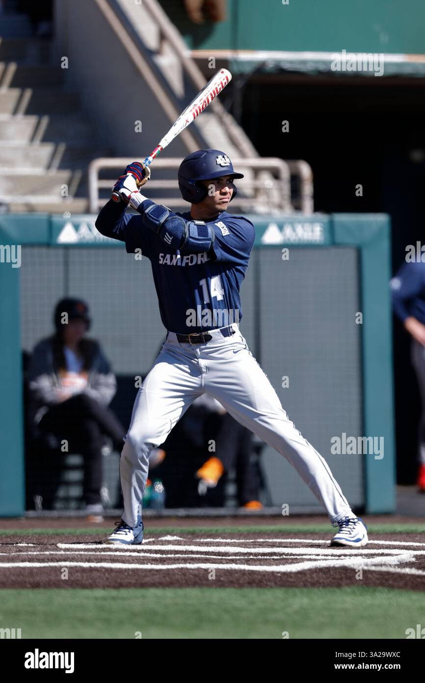 Samford Bulldogs right fielder Angelo Prieto (14) at bat against the ...