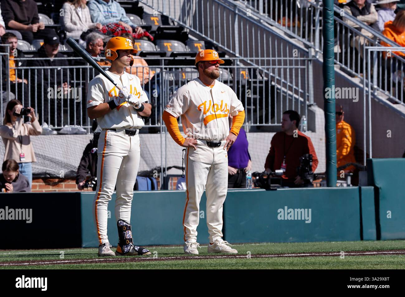 Tennessee Volunteers shortstop Dean Curley (1) observes an opposing ...