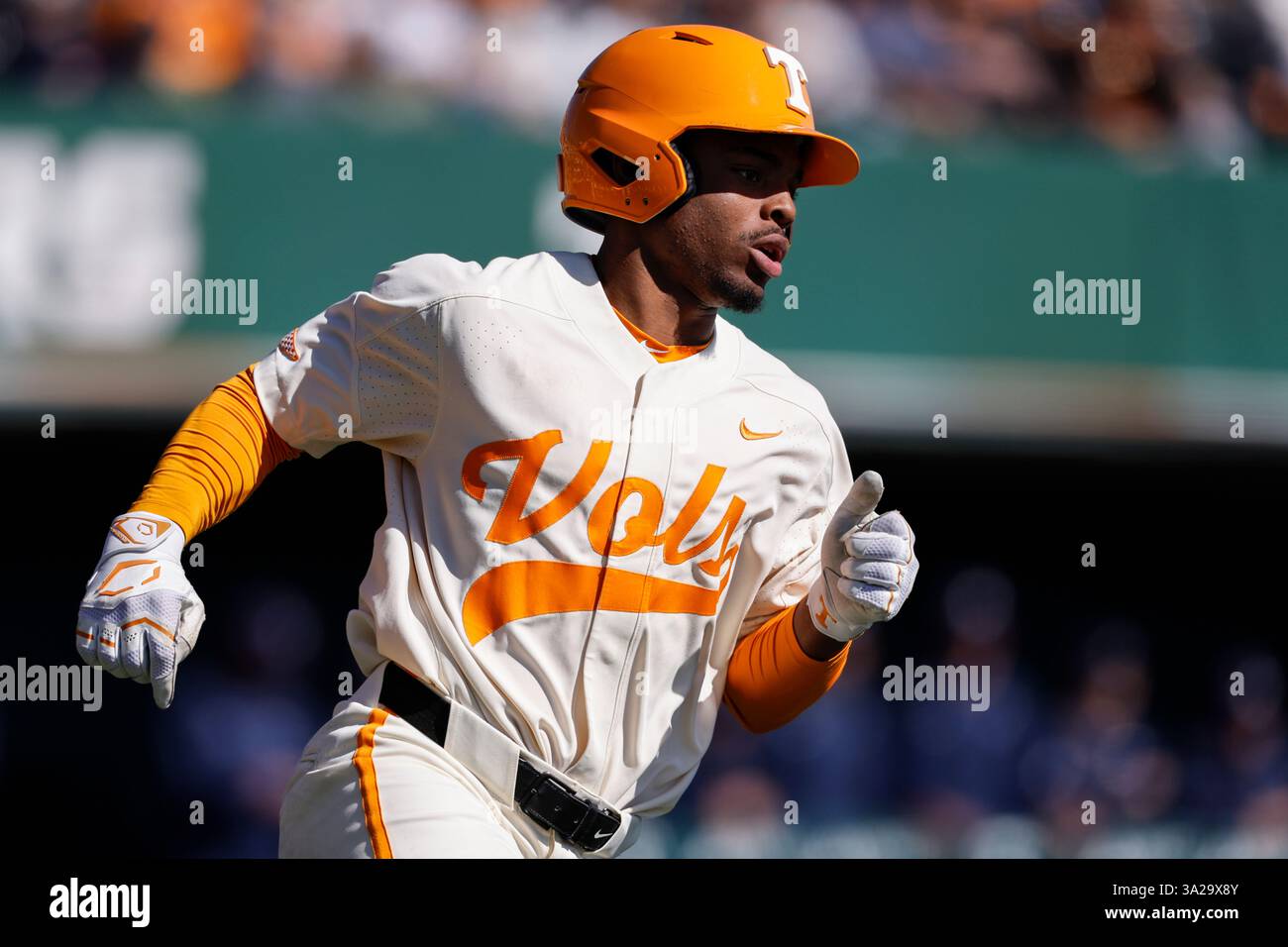 Tennessee Volunteers designated hitter Jay Abernathy (8) hustles to ...