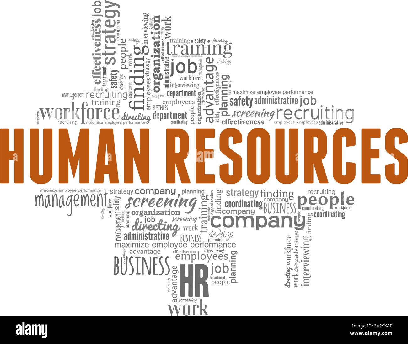 HR - Human Resources vector illustration word cloud isolated on a white ...