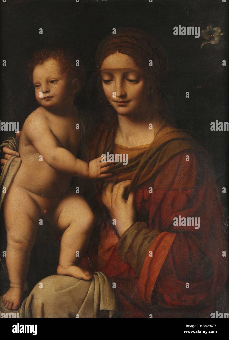 This work by Bernardino Luini depicts the Madonna and Child, painted with soft, delicate lines ...