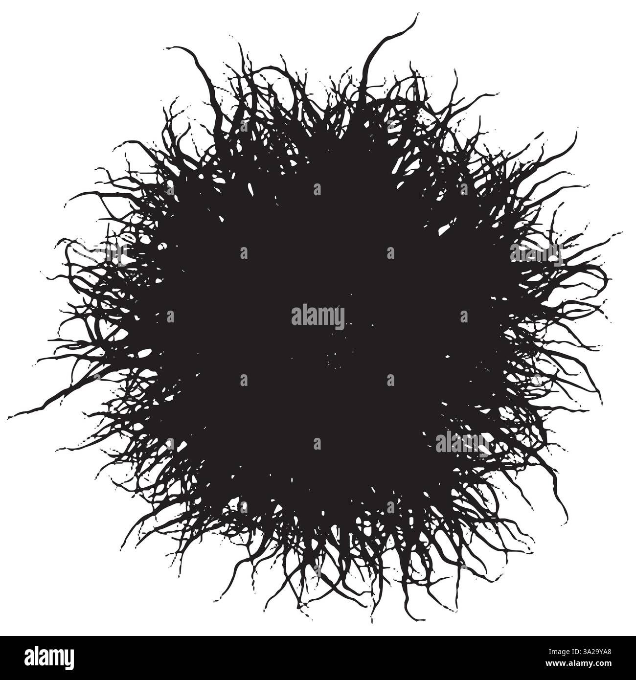 Round headed Black and White Stock Photos & Images - Alamy