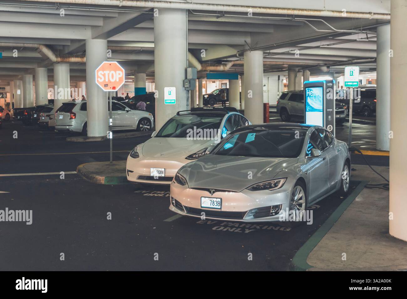 Oahu, Hawaii, USA - February 22, 2024 - Two Tesla vehicles charging at ...