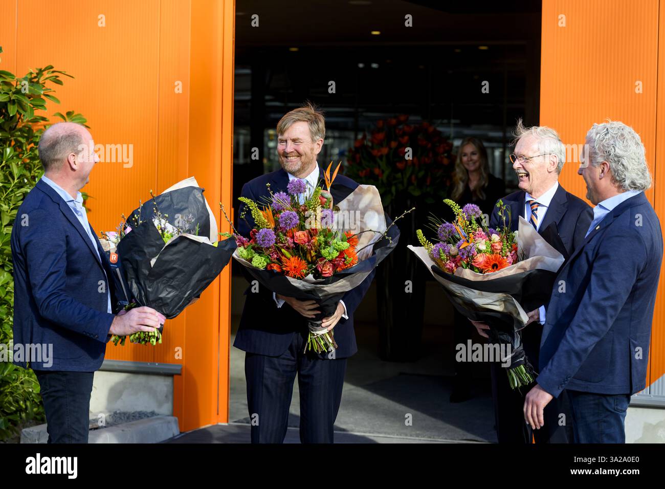 Hem, The Netherlands, 2025-03-12 16:10:57 HEM, 12-03-2025, tulip grower ...