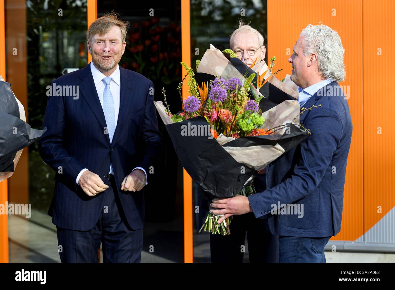 Hem, The Netherlands, 2025-03-12 16:10:49 HEM, 12-03-2025, tulip grower ...