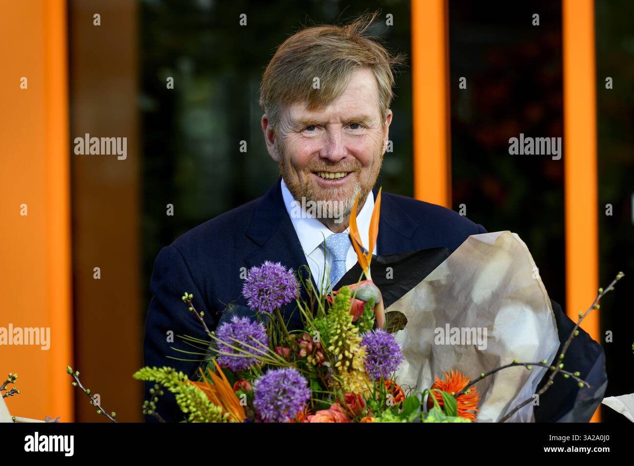 Hem, The Netherlands, 2025-03-12 16:11:02 HEM, 12-03-2025, tulip grower ...