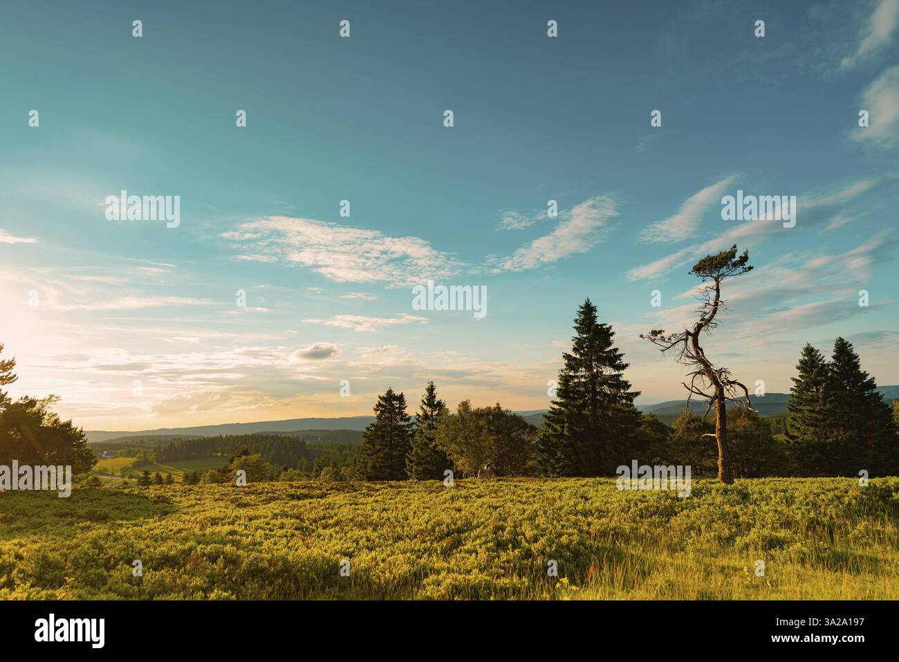 German beauty Rothaargebirge Stock Photo - Alamy