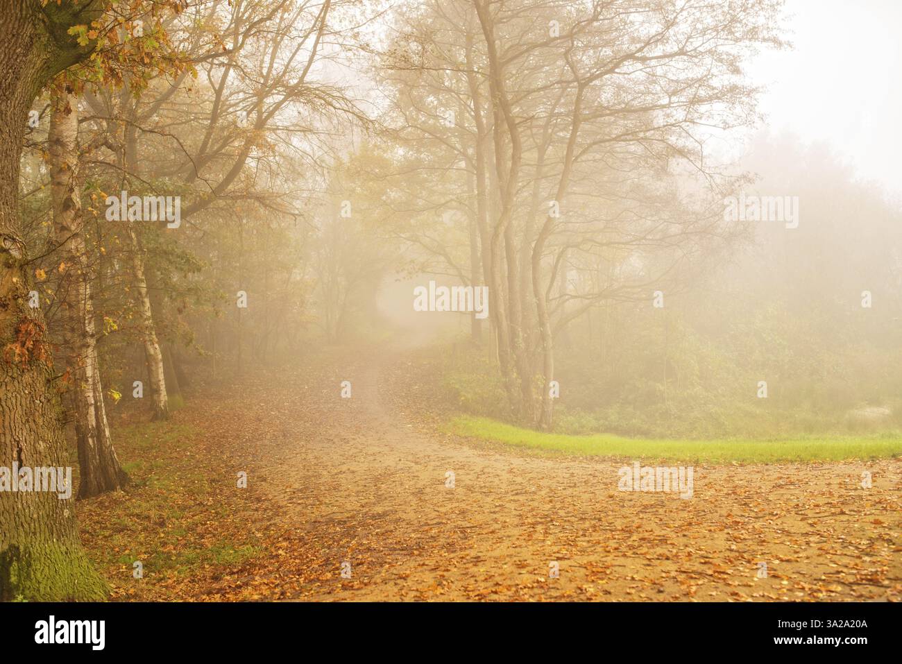 Fog on the river Stock Photo - Alamy