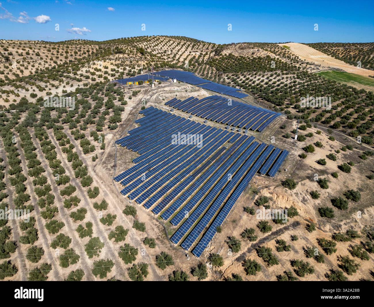 Aerial drone view of solar panels located in an olive grove plantation ...