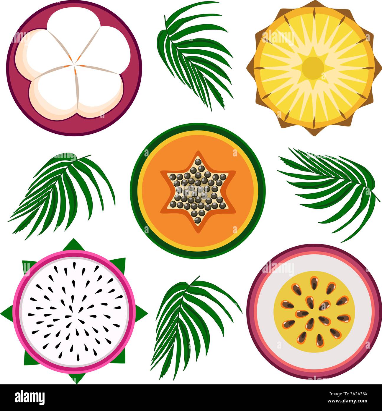 Pineapple pomegranate passion fruit Stock Vector Images - Alamy