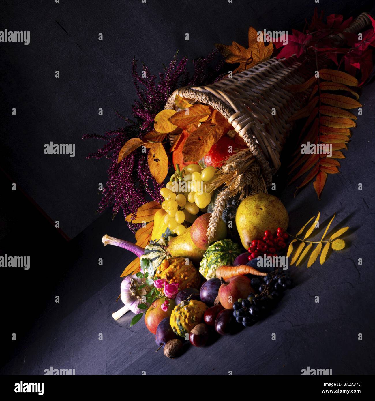Fall cornucopia hi-res stock photography and images - Alamy