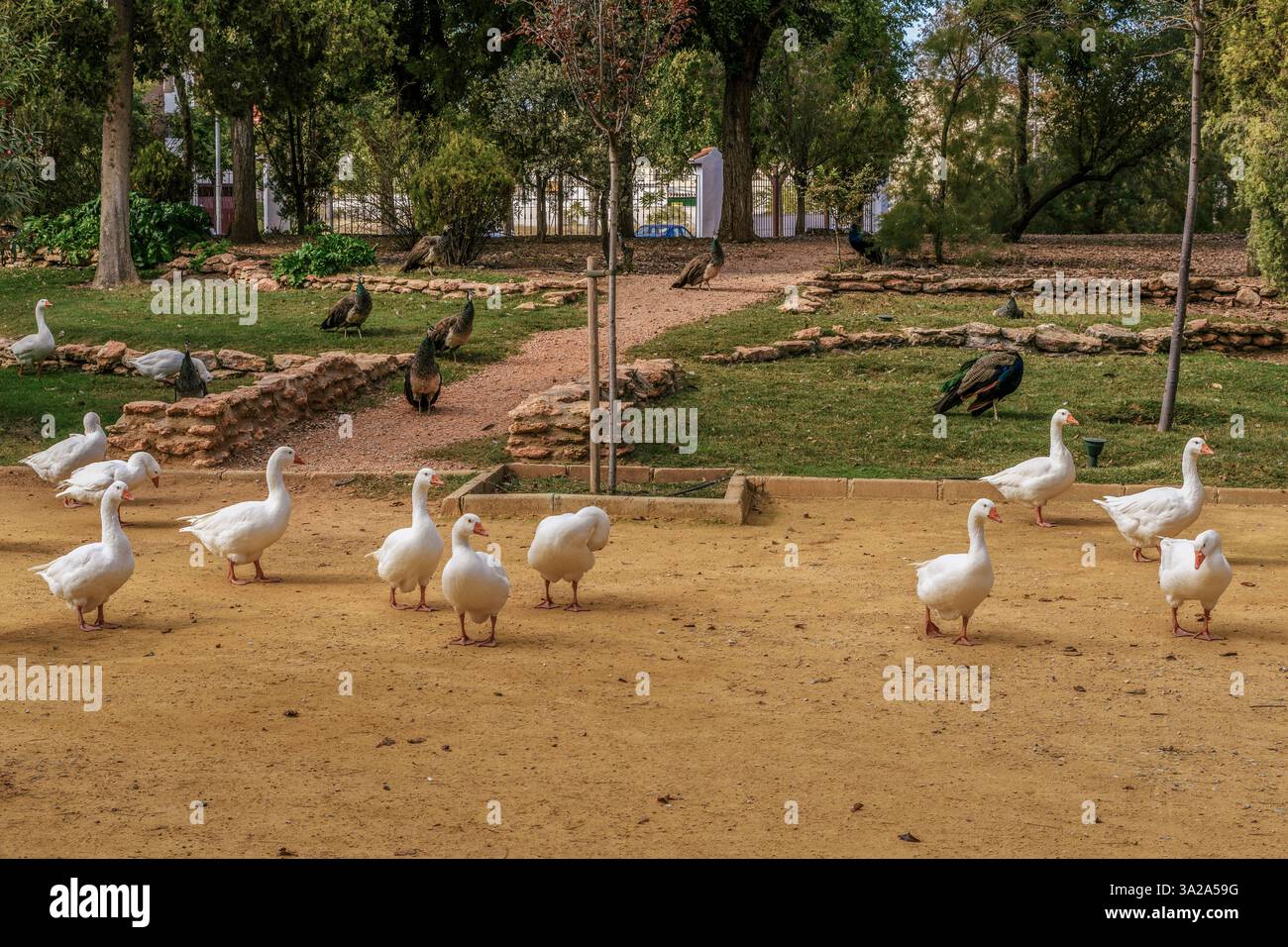 Julian Gomez-Cambronero Pacheco Scientist Park, city of Manzanares ...