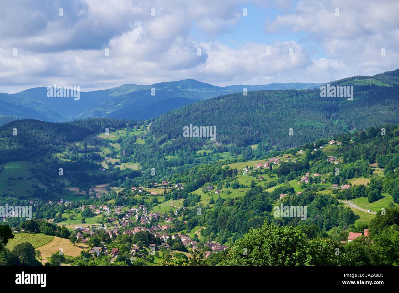 Lush green valleys and rolling hills showcase the beauty of les Vosges ...