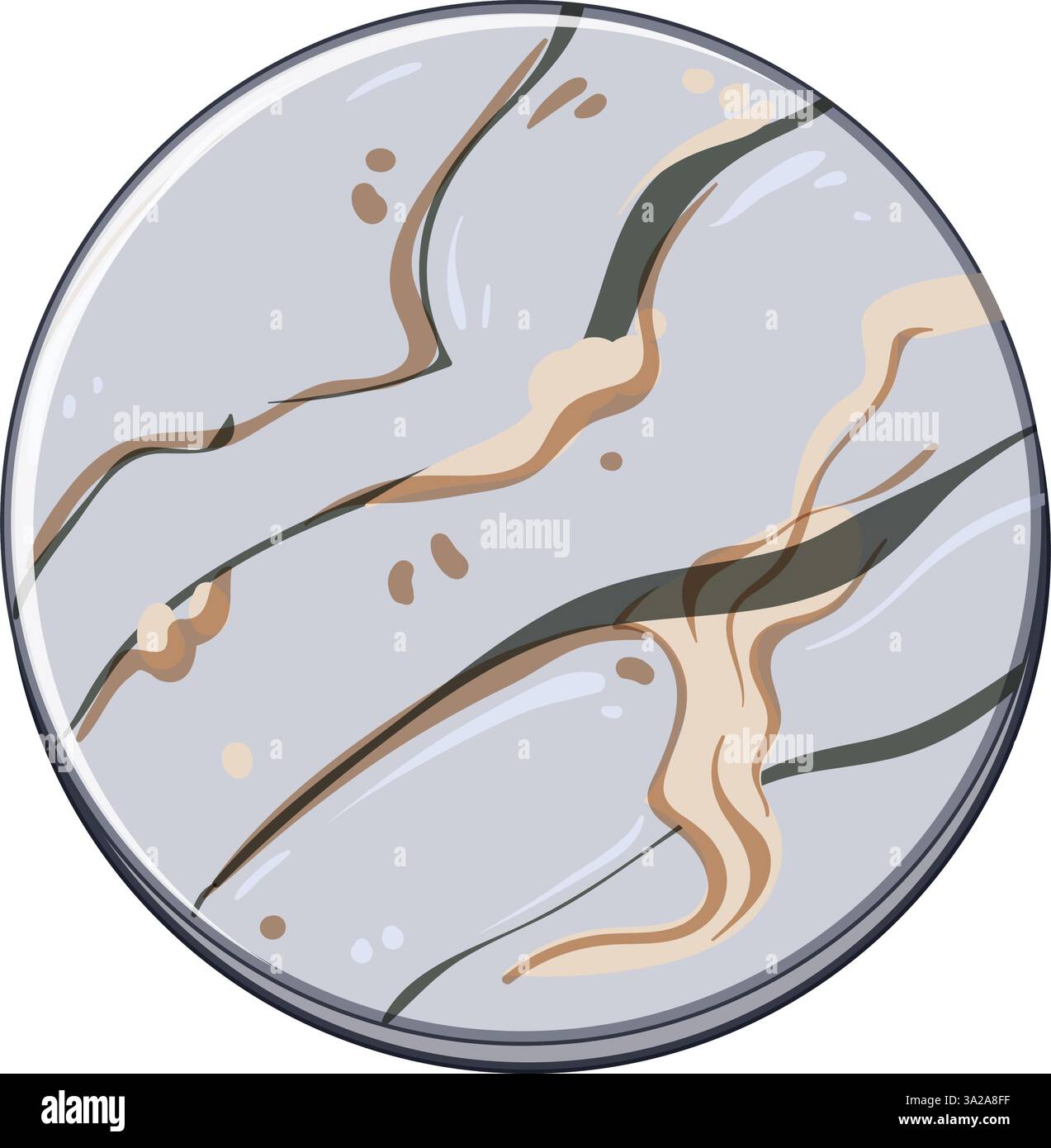 decor marble coaster cartoon vector illustration Stock Vector Image ...