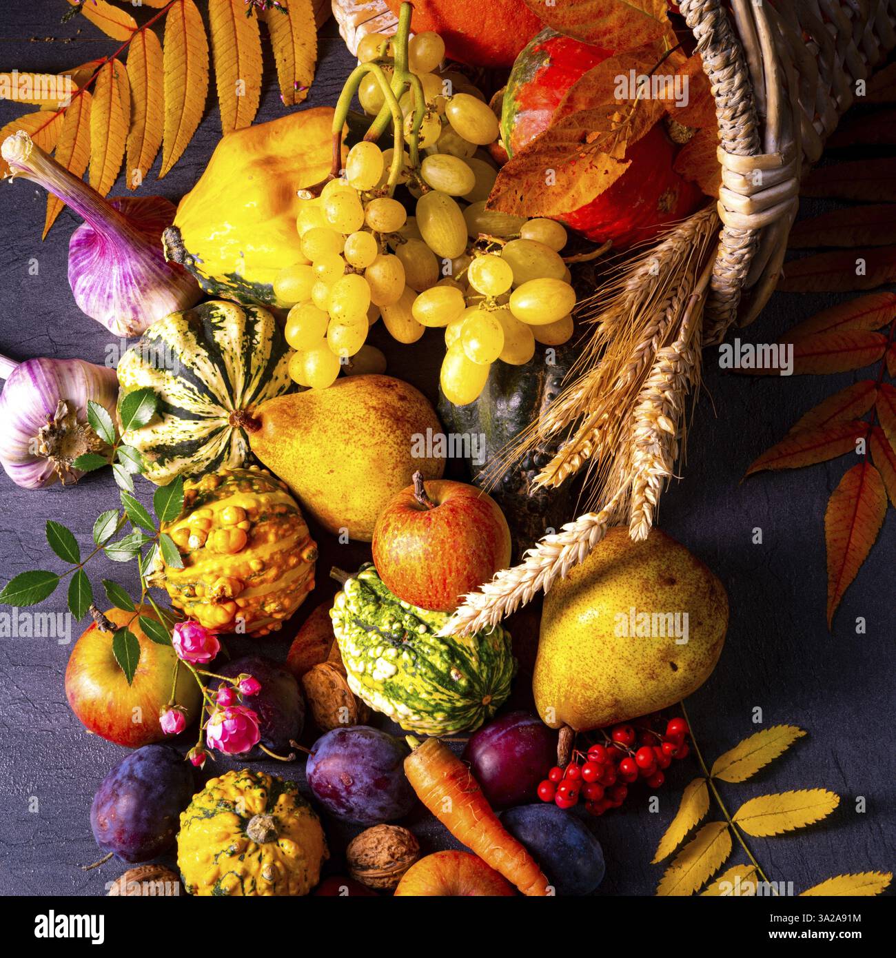 The beautiful and autumnal cornucopia Stock Photo - Alamy