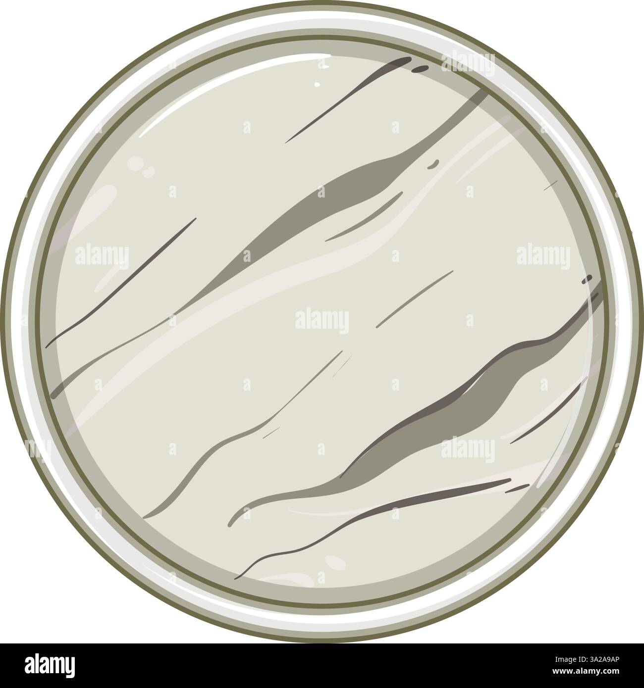 luxury marble coaster cartoon vector illustration Stock Vector Image ...